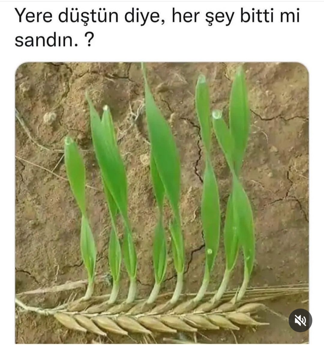 Yere düştün diye her şey bitti mi sandın? (ss) | DonanımHaber Forum